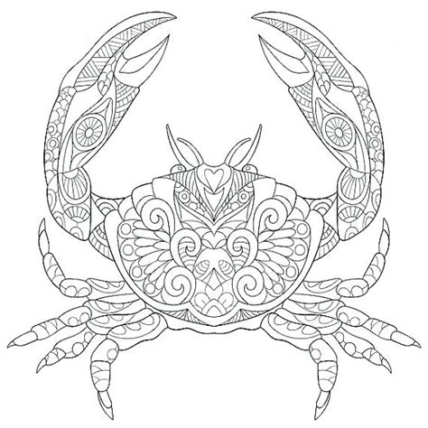 Sea Life Coloring Pages For Adults At Getcolorings Free Printable