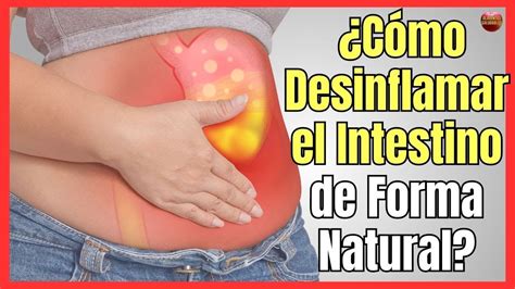 COMO DESINFLAMAR EL INTESTINO GRUESO Y DELGADO DE FORMA NATURAL