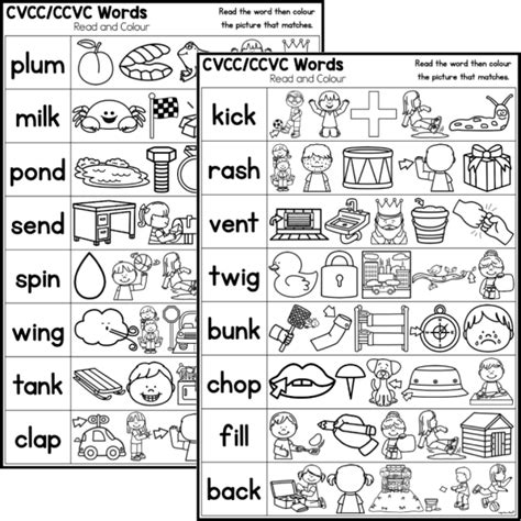 CVCC CCVC Words Read Colour Worksheets STATE FONTS Top Teacher
