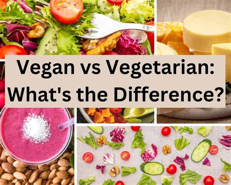 Vegan Vs Vegetarian A Simple Guide To Nourishment Variety And Flavor