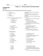 Chapter Docx Name Date Chapter Nervous System And