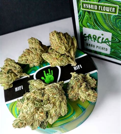 Cannabis Reviews Garcia Hand Picked Flower Maryland Home Grow