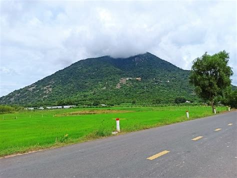 Khám phá bí kíp hoàn hảo cho chuyến trekking ngắm cảnh từ đỉnh núi Bà