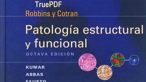 Libro Robbins Patologia Estructural Y Funcional Ed Espa Ol Pdf