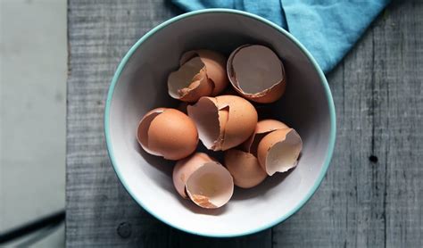 What We Learned From A Tooth Decay Experiment With Eggshells
