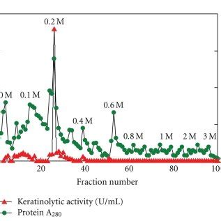 SDS PAGE And Zymogram Analysis Of Purified Keratinase A SDS PAGE