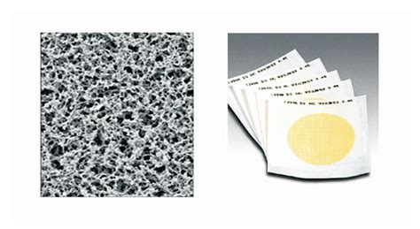 Sartorius Gridded Sterile Cellulose Nitrate Membrane Filters 0 45μm
