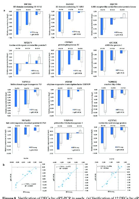 Verification Of DEGs By QRT PCR In Seeds A Verification Of 12 DEGs