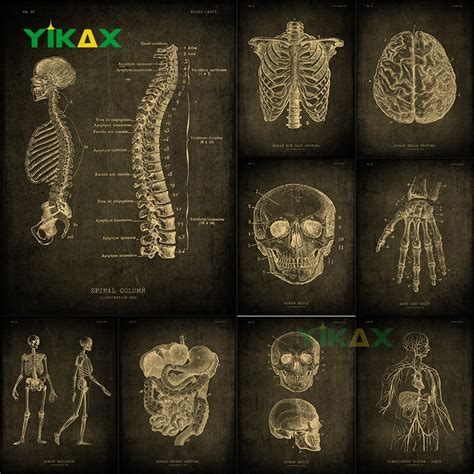 Nigikala Skeleton Chalkboard Poster Kraft Paper Posters Diy Vintage