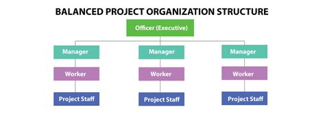 Software Engineering Organization Structure