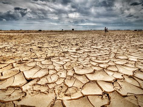 Como você pode contribuir para conter as mudanças climáticas