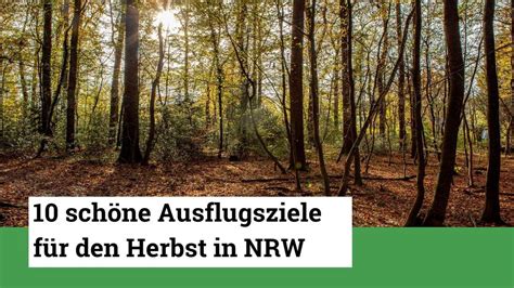 Was Im Oktober In Nrw Los Ist Halloween Tipps Herbst Feste Kirmes