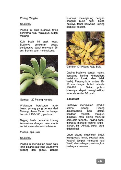 Teknik Budidaya Tanaman Jilid Haryahutamas Halaman Pdf