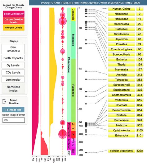 TIMELINE View Showing Search Results For Homo Sapiens The Evolutionary