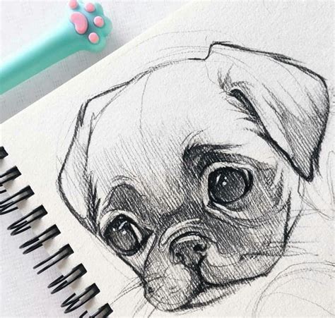59 tutos pour apprendre à dessiner des animaux
