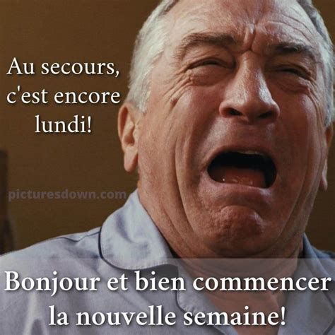 Bon Lundi Humour Image Pleurer Picturesdown