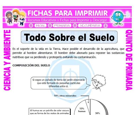 Fichas De Ciencia Y Ambiente Para Quinto De Primaria 31 FICHAS En