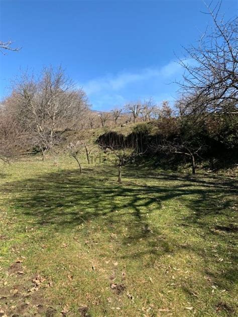 Terreno In Vendita In Contrada Milia S N C Ragalna Idealista N In