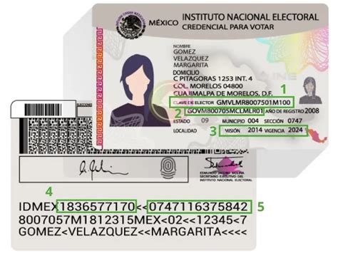 Conoce cuáles son los datos más importantes de tu credencial de elector