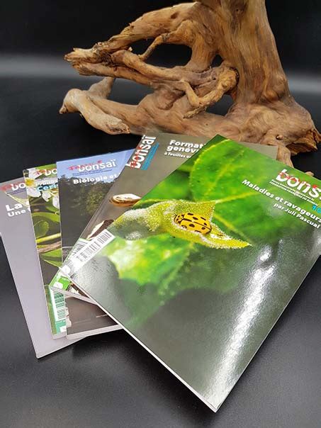 Az Bonsa Les Livres Essentiels Pour Votre Bonsa