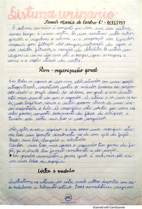 Resumo Sobre Sistema Urin Rio Histologia Histologia Veterin Ria
