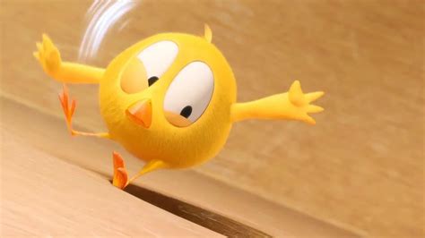 Where S Chicky Funny Chicky The Trap Cartoon In English For