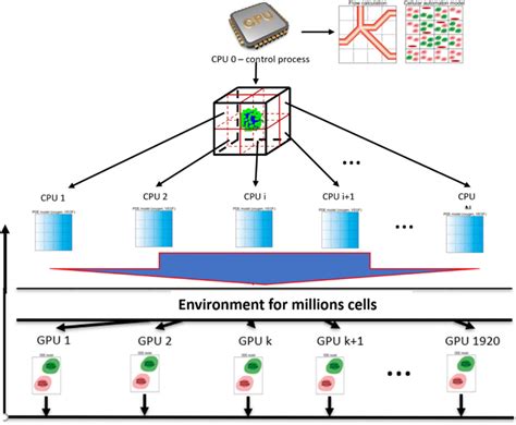 cpu gpu systems for simulation strategy with parallelized cpu gpu download scientific diagram