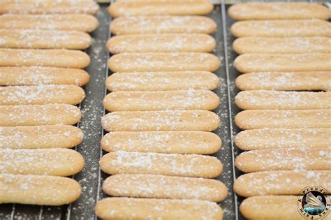 Boudoirs biscuits à la cuillère sans gluten A Prendre Sans Faim