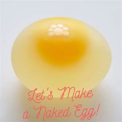 20 Fun Science Experiments With Eggs Go Science Girls