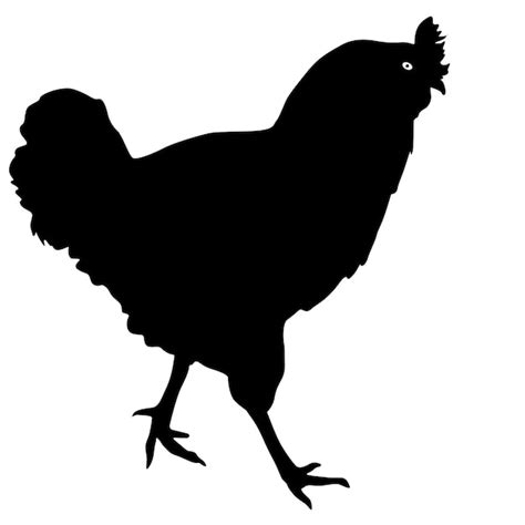 Bosquejo De Silueta Gallo Sobre Un Fondo Blanco Vector Premium