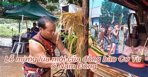 L M Ng L A M I C A Ng B O C Tu Nam Ng B O D N T C V Ph T Tri N