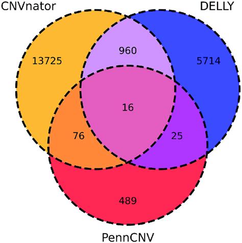 copy number variation regions identified from whole genome sequencing download scientific