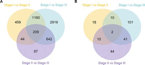 Frontiers Comparative Transcriptome Analysis Reveals The Process Of