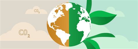 How Does Carbon Offsetting Work A Simple Guide