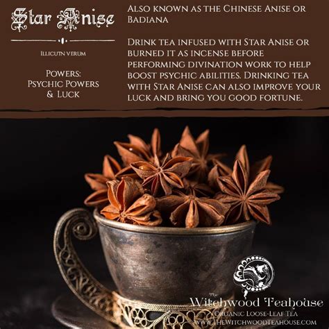Star Anise Magickal Herbs Herbal Magic Herbalism