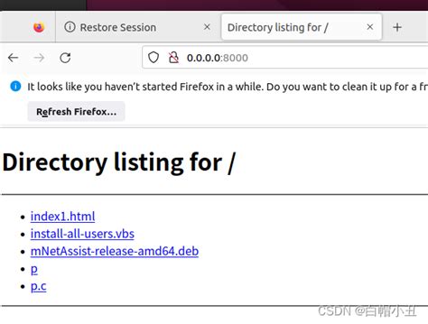 python高级 socket和web相关 python web socket csdn博客