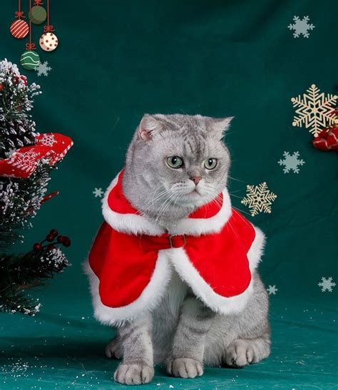 Pin de Caroline en chats Noël Ropa de gato Disfraces para perros