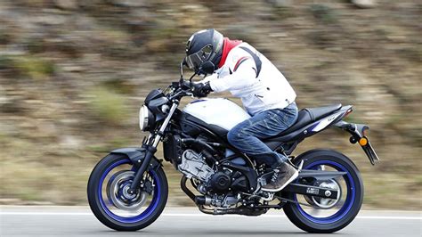 Suzuki Sv Im Ps Fahrbericht Motorradonline De