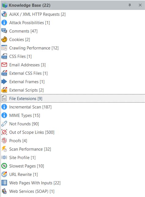 File Extensions Node Invicti