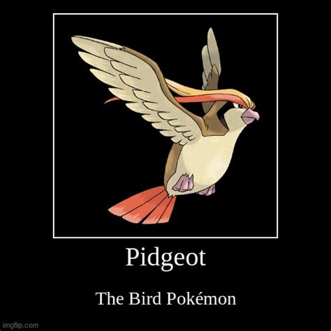 Im Da Biggest Bird Imgflip