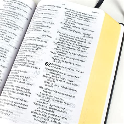 Bíblia Sagrada NVT MAX Capa Dura Clássica Livraria Cristã