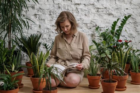 5 Plantas Que Puedes Tener En Tu Casa Para Alejar La Envidia Notigram