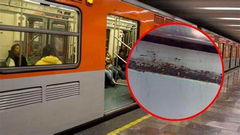 Chinches En El Metro CDMX Esto Alertan Usuarios La Silla Rota