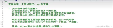 java——字面量 csdn博客