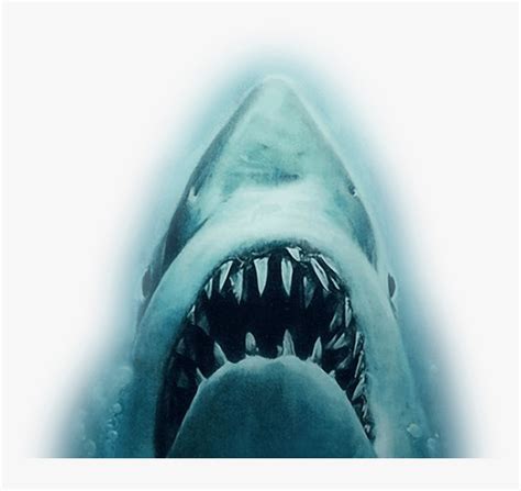 Jaws Png Transparent Png Kindpng