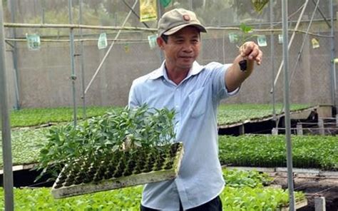 Thu tiền tỷ từ bán cây giống công nghệ cao Báo ảnh Dân tộc và Miền núi