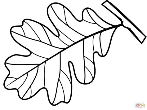 Coloriage feuille de CHENE Coloriages à imprimer gratuits