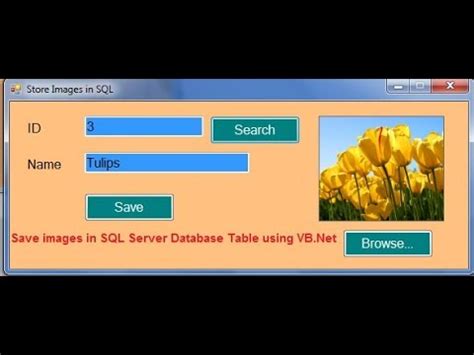 How To Effectively Save Images To SQL Server Database From Vb Net YouTube