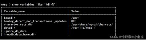 docker容器安装mysql数据库 docker容器内安装mysql csdn博客
