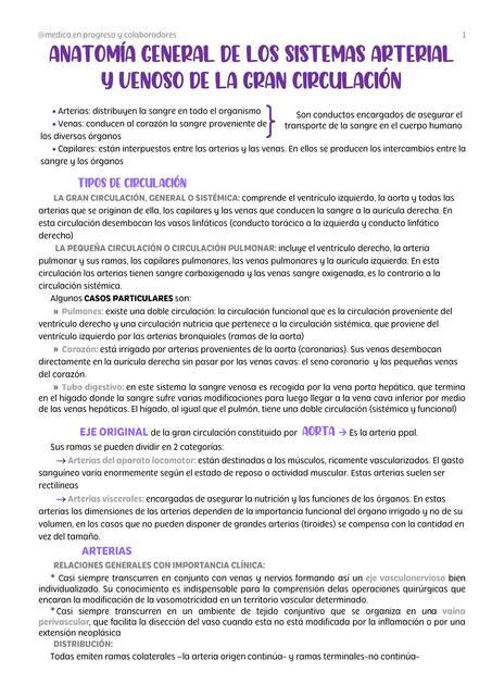 Anatomía general de los sistemas arterial y venoso de la gran
